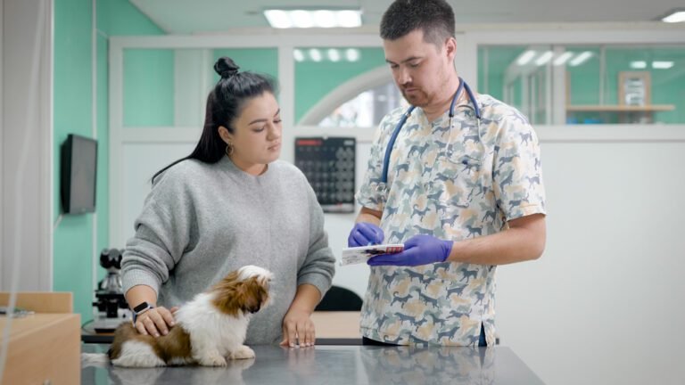 Shih Tzu Poop Eating Habit: Is it Normal or a Cause for Concern ...
