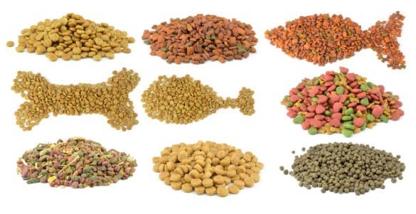 Best Food Toppers for Dogs in 2024: Boost Your Pet's Meals ...